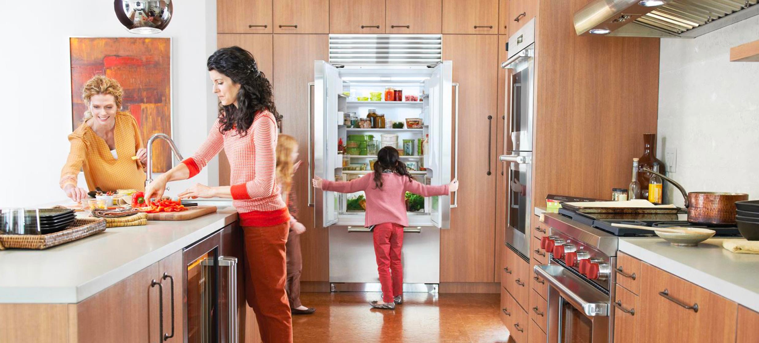 Sub-Zero | Horizontal Digital